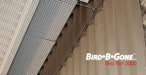Bugland Pest Management Inc - PIGEONS